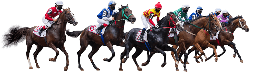 HIT THE MARK(ヒットザマーク)